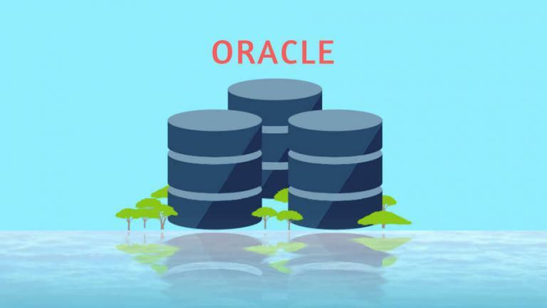 [OracleDB] AWRの設定方法。取得間隔・保存期間や取得レベルは何を設定すべきか？ | Libproc